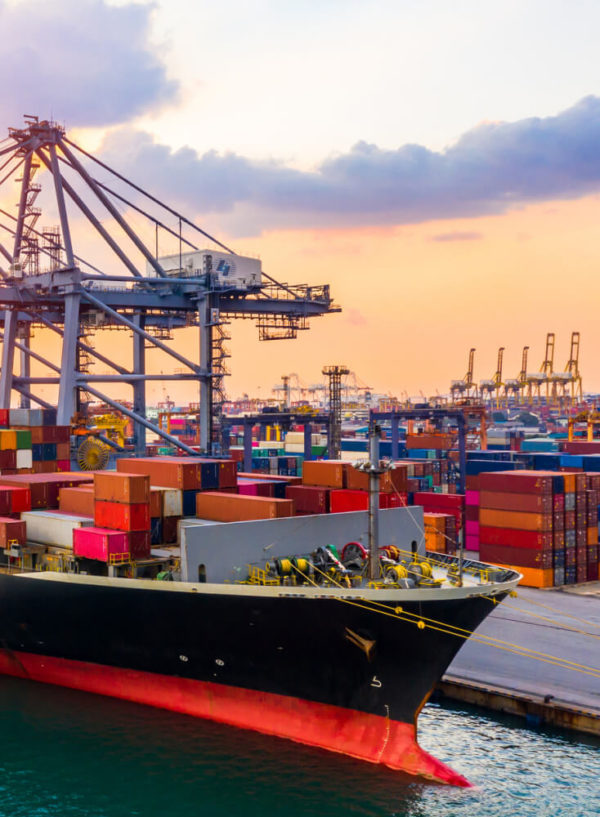 Qatar Al-Shaheen Gallaf Project | Tuff